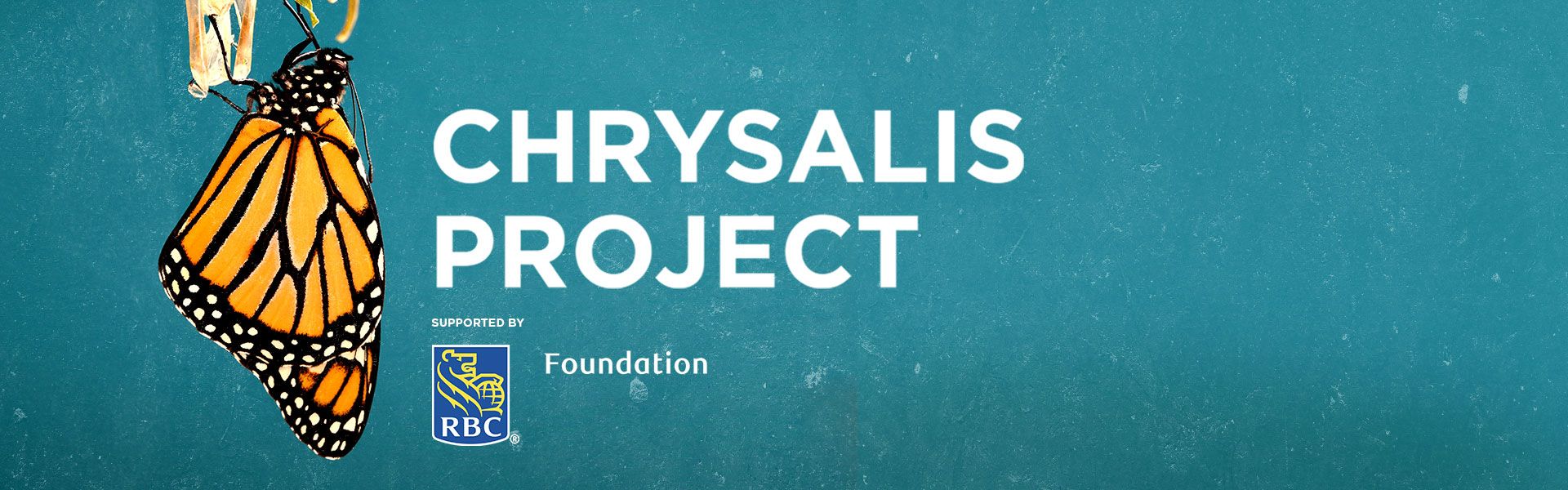 2022-23 Chrysalis